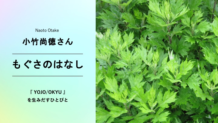もぐさのはなし 小竹尚徳さん 『YOJO/OKYU』を生みだすひと | YOJO / OKYU 良く生きよう。養生とお灸と。